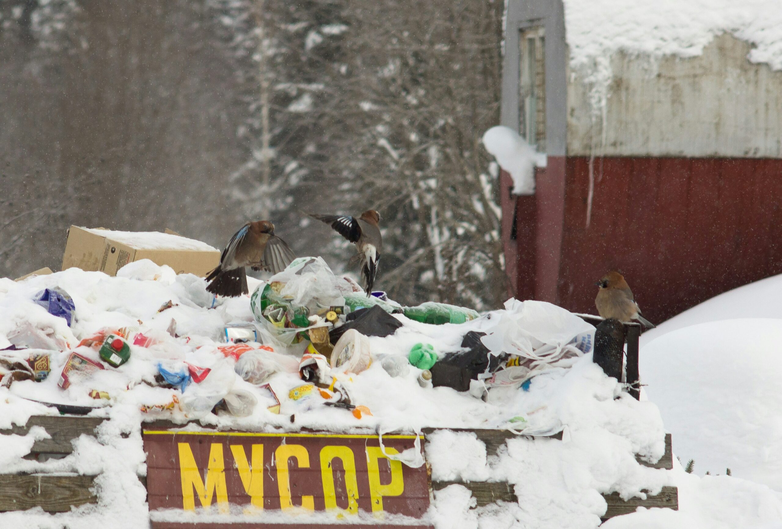 Junk Removal And Junk Hauling In Winter
